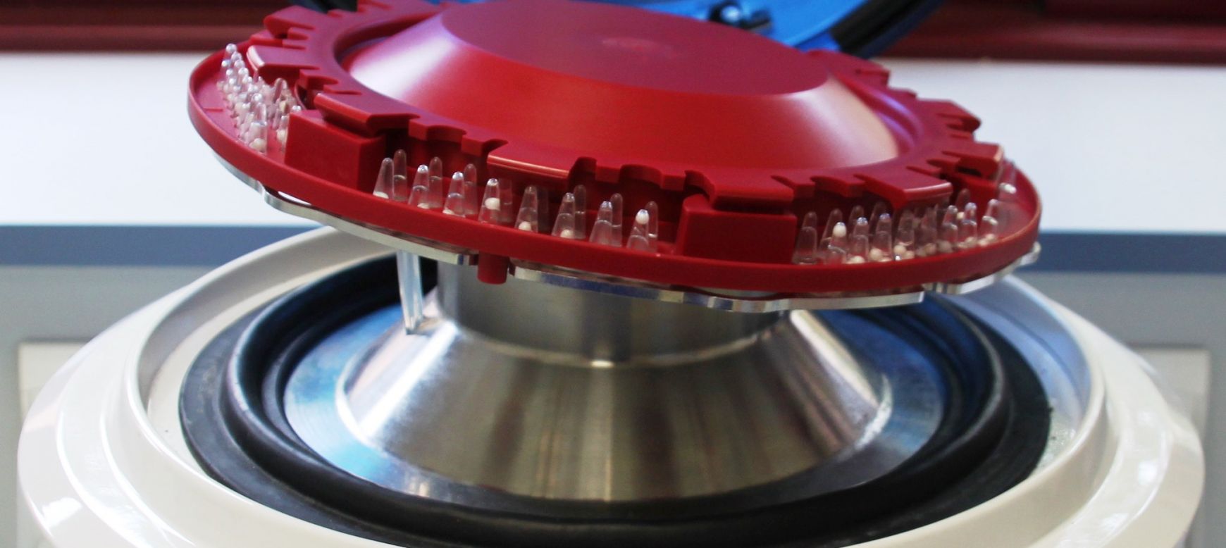 Precellys new adaptor for 96 well-plates homogenization - Bertin ...