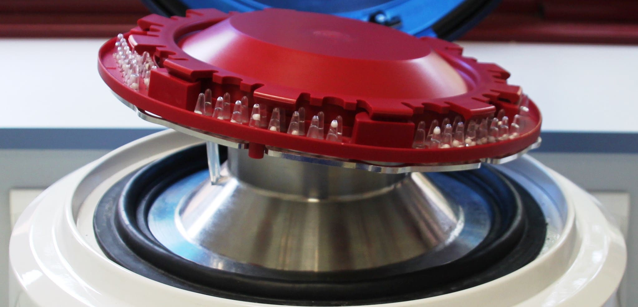 Precellys new adaptor for 96 well-plates homogenization - Bertin ...