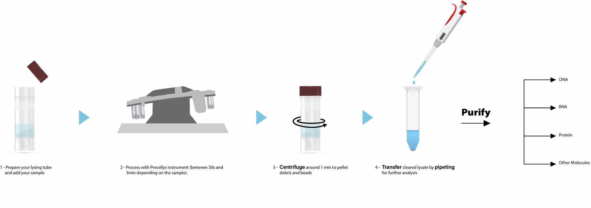 Choosing your lysing kit - Bertin Technologies