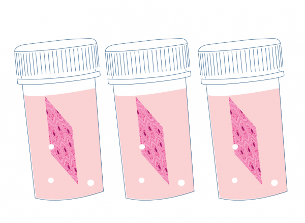 Precellys Multi-Tissue Dissociation Kit - Bertin Technologies