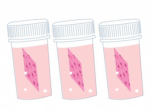 Precellys Multi-Tissue Dissociation Kit - Bertin Technologies