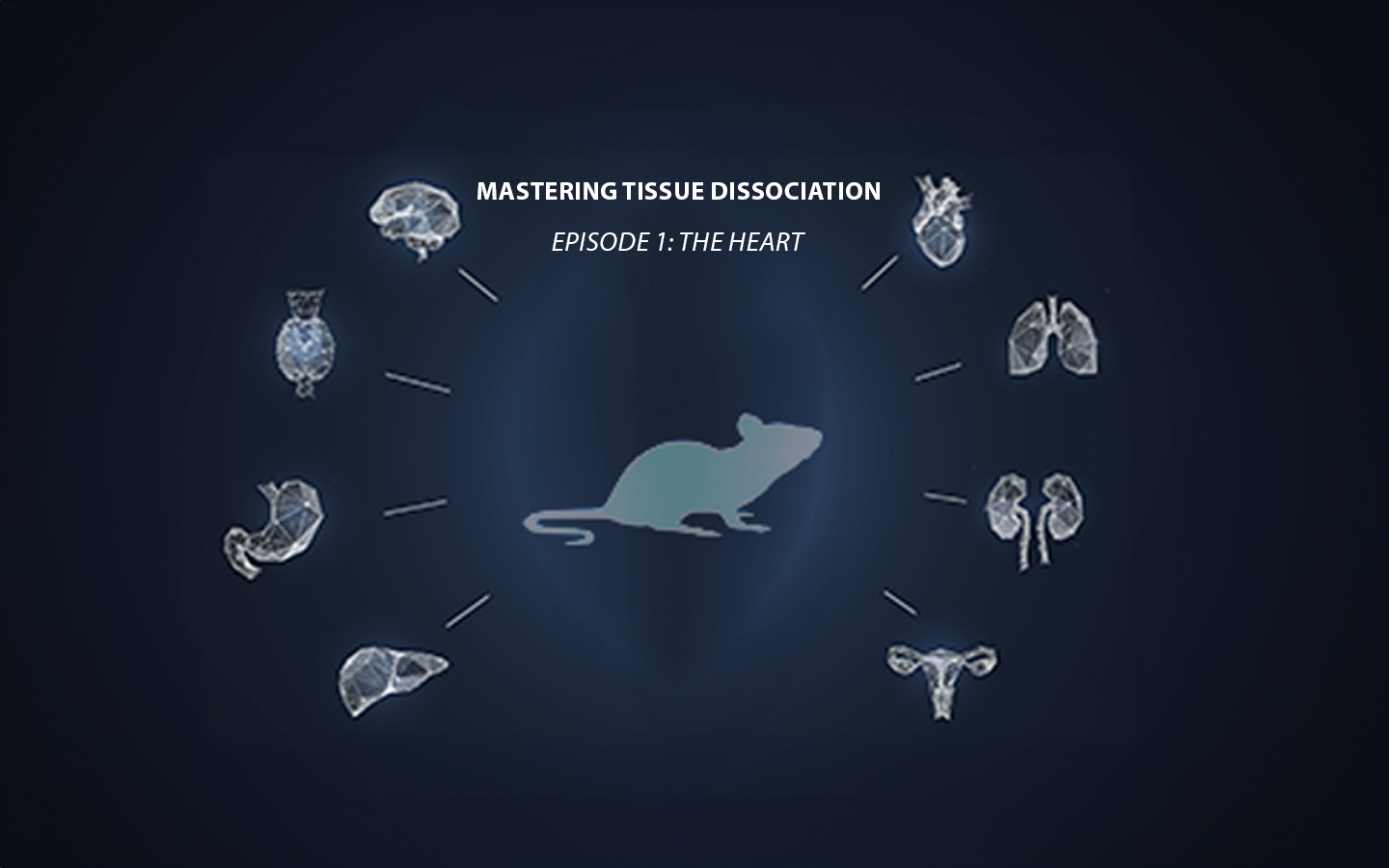 Mastering Tissue Dissociation - Episode 1: THE HEART - Bertin Technologies