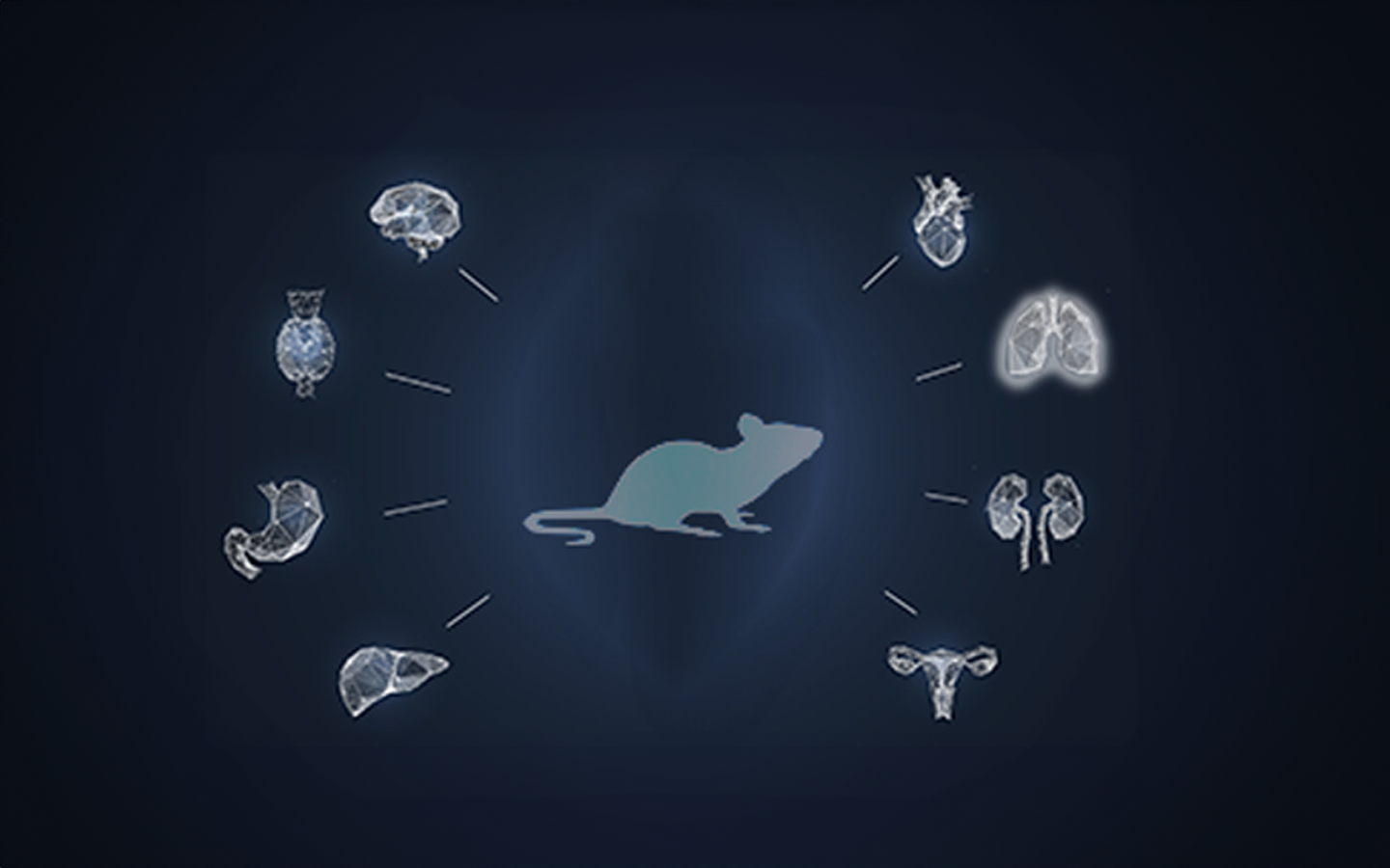 Mastering Tissue Dissociation – Episode 2: THE LUNG - Bertin Technologies